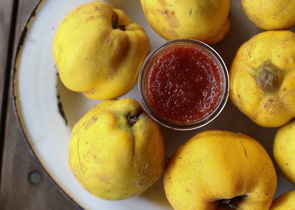 Quince Cutting Preserves 4.5oz – The Lou Charcuterie